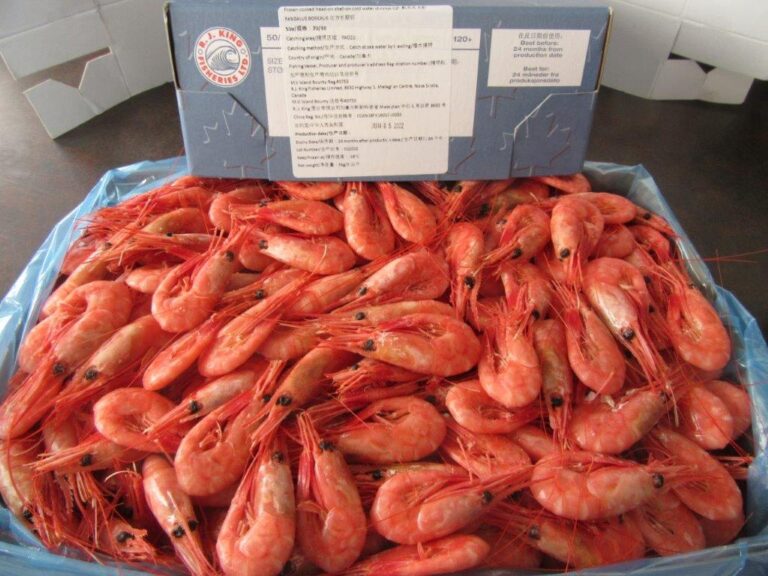 Cold Water Shrimp – R.J. King Fisheries Ltd.